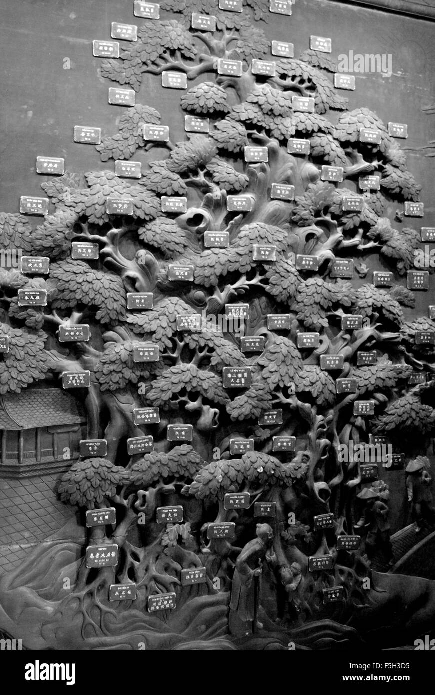 Bass of tree hi-res stock photography and images - Alamy