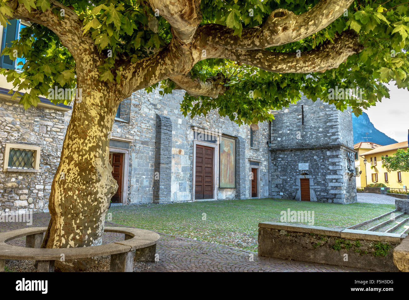 Tree in front of the Church of Saint George on Lake Como, Varenna ...