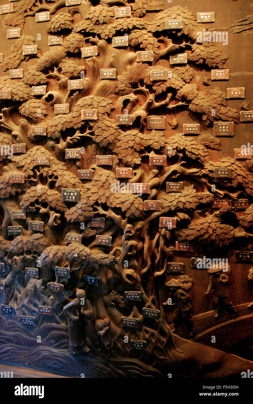 Bass of tree hi-res stock photography and images - Alamy