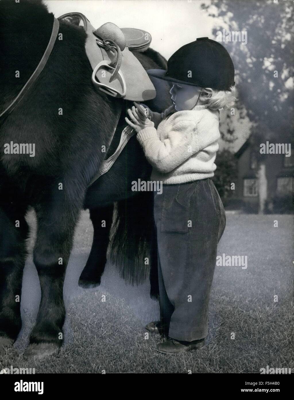 Karen buckle hi-res stock photography and images - Alamy