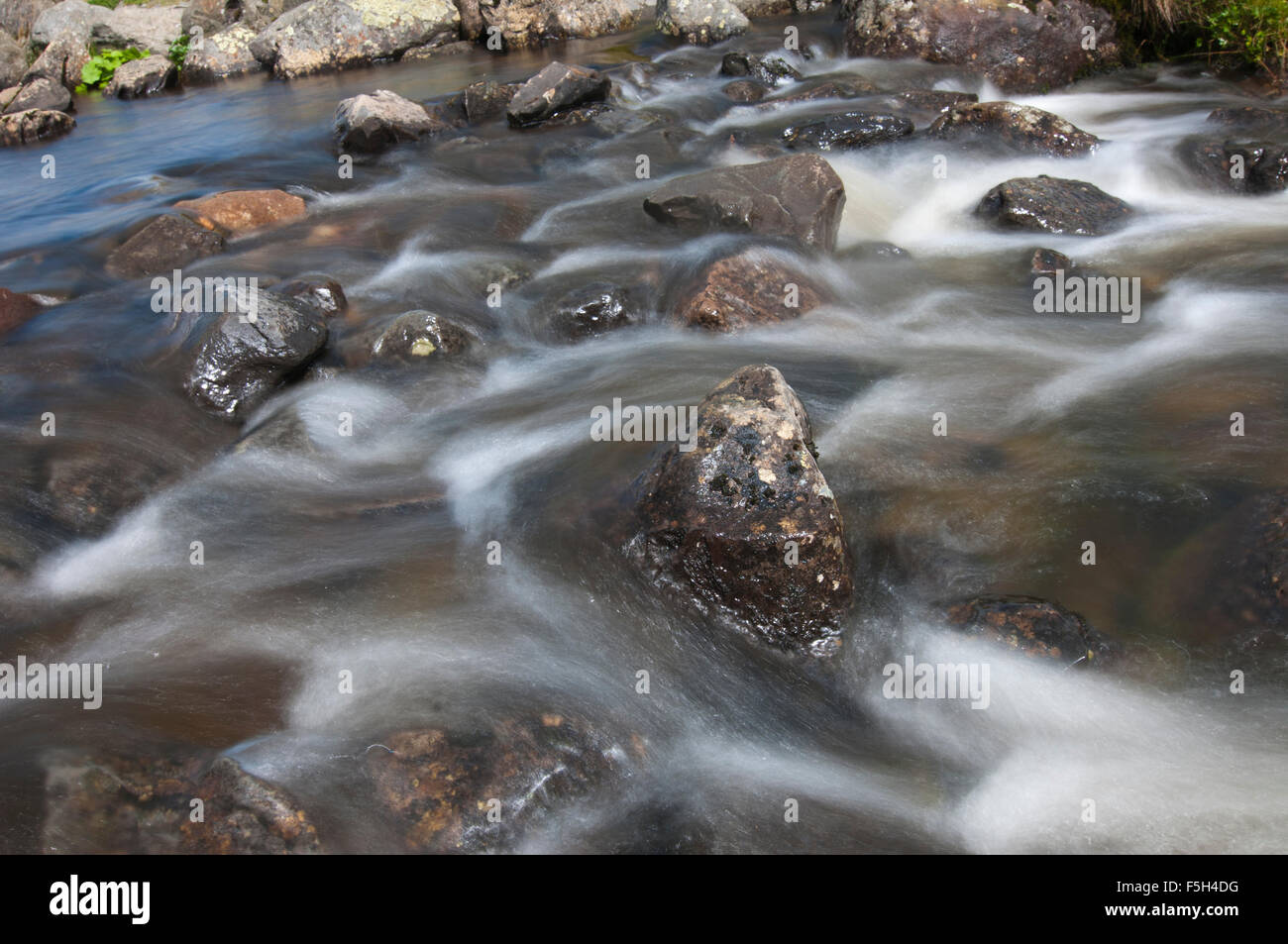 Tail Burn High Resolution Stock Photography and Images - Alamy