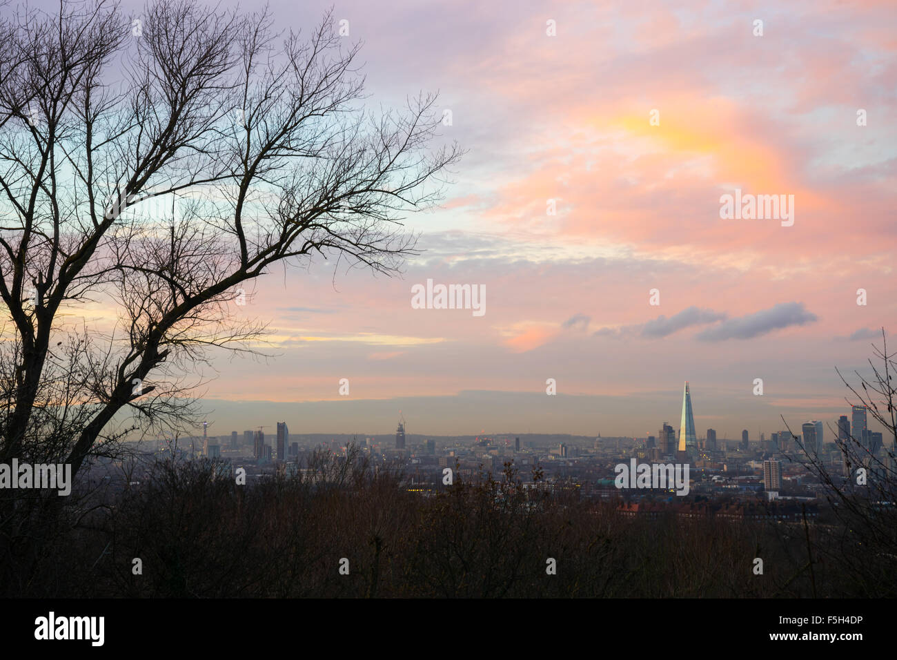 London skyline and trees hi-res stock photography and images - Alamy