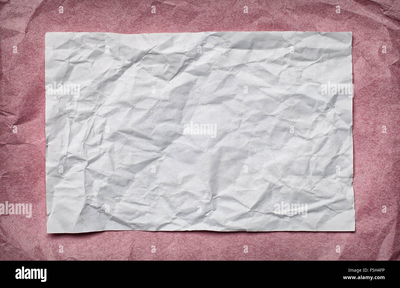 white paper card on pink background Stock Photo - Alamy