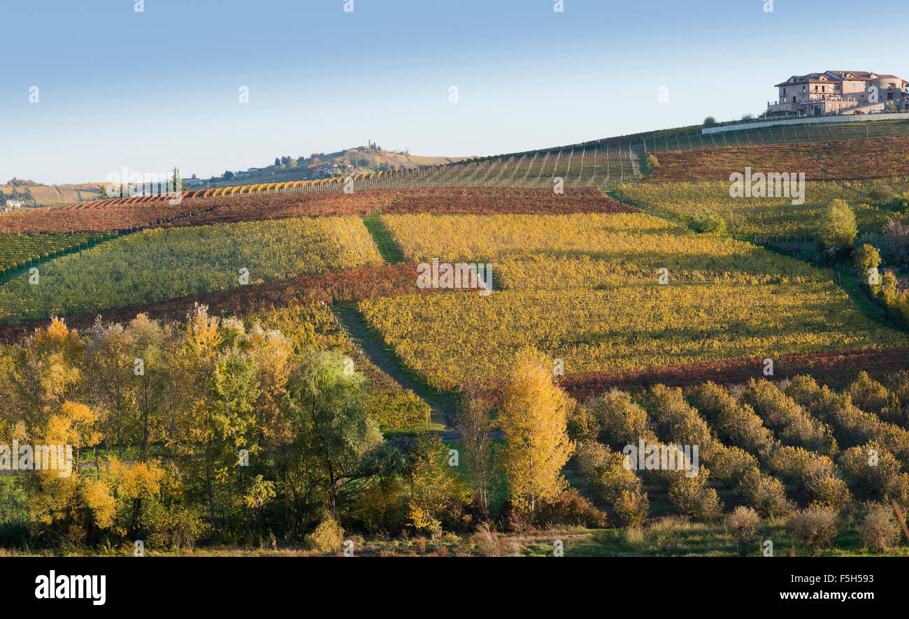 Piedmont, Italy, panorama of vineyards of Piedmont: Langhe-Roero and ...