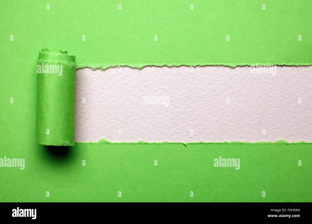 green Torn paper with white background Stock Photo - Alamy