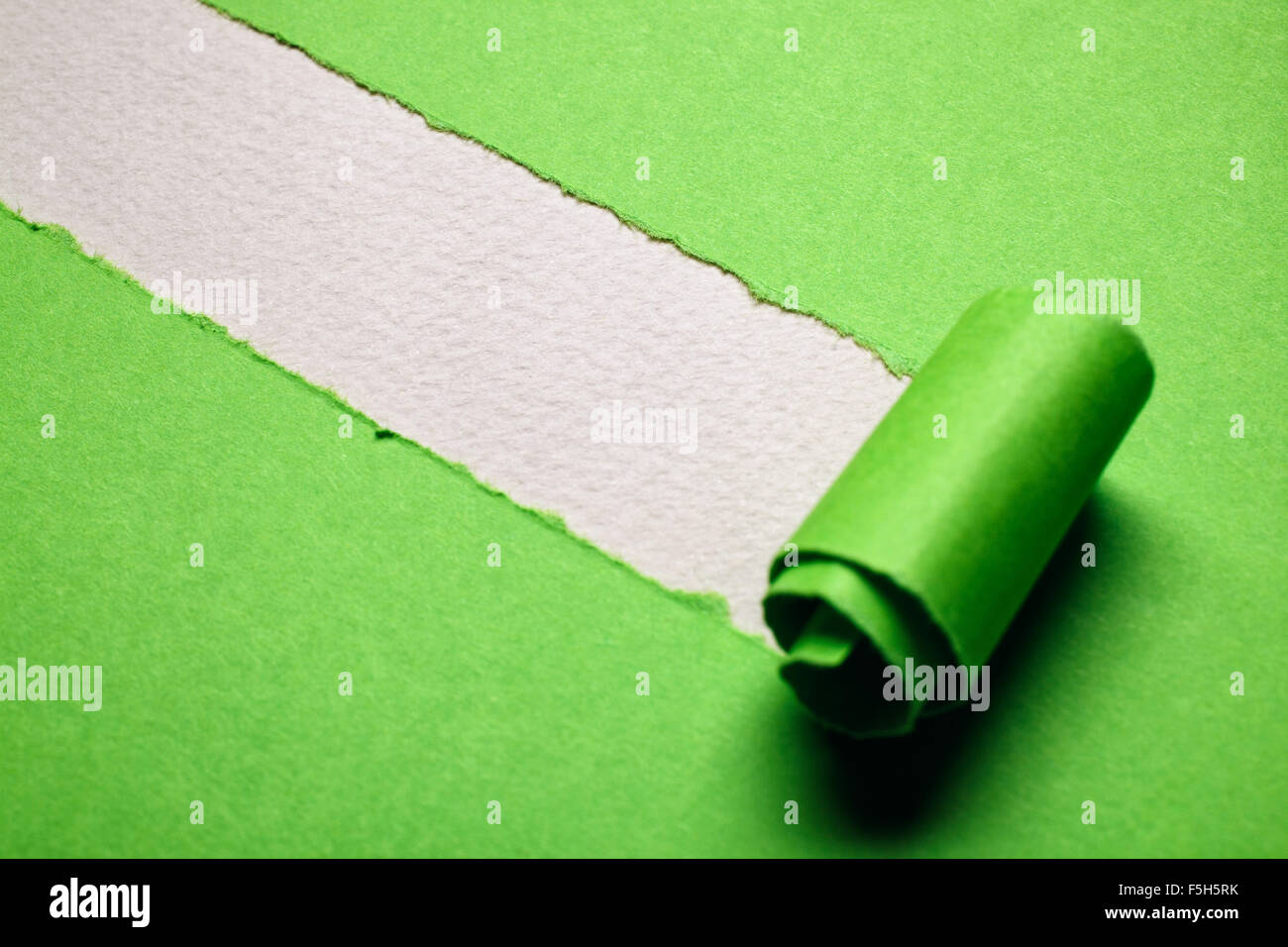 green Torn paper with white background Stock Photo - Alamy