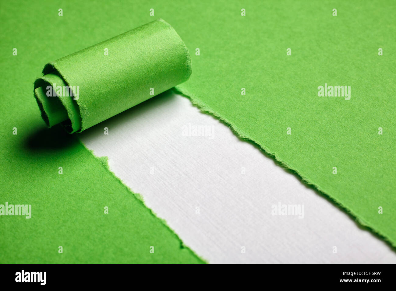 green Torn paper with white background Stock Photo - Alamy