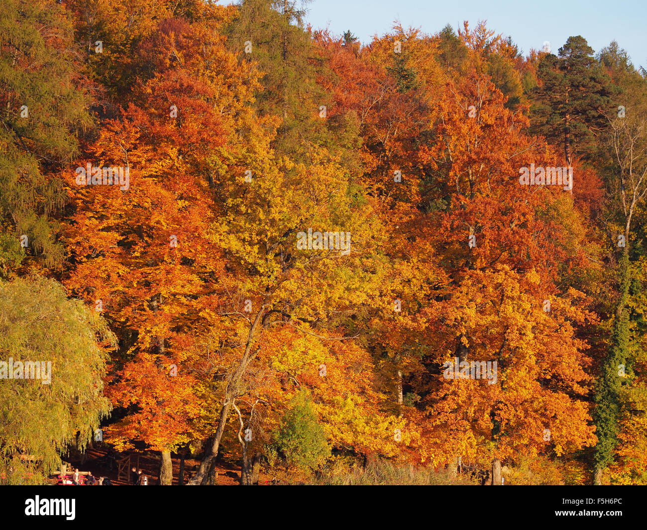 Autumn in Switzerland at Lake Stock Photo - Alamy