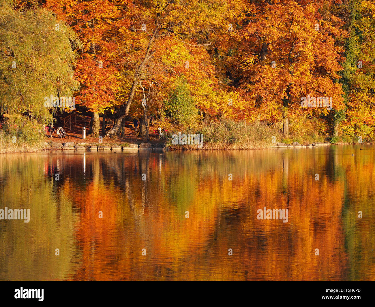 Autumn in Switzerland at Lake Stock Photo - Alamy