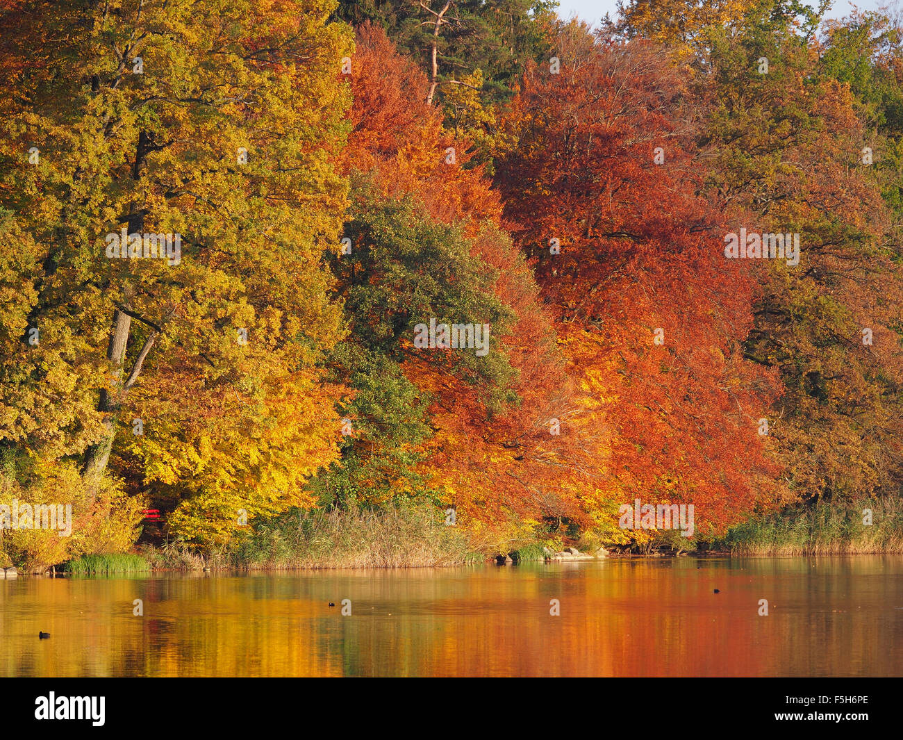 Autumn in Switzerland at Lake Stock Photo - Alamy
