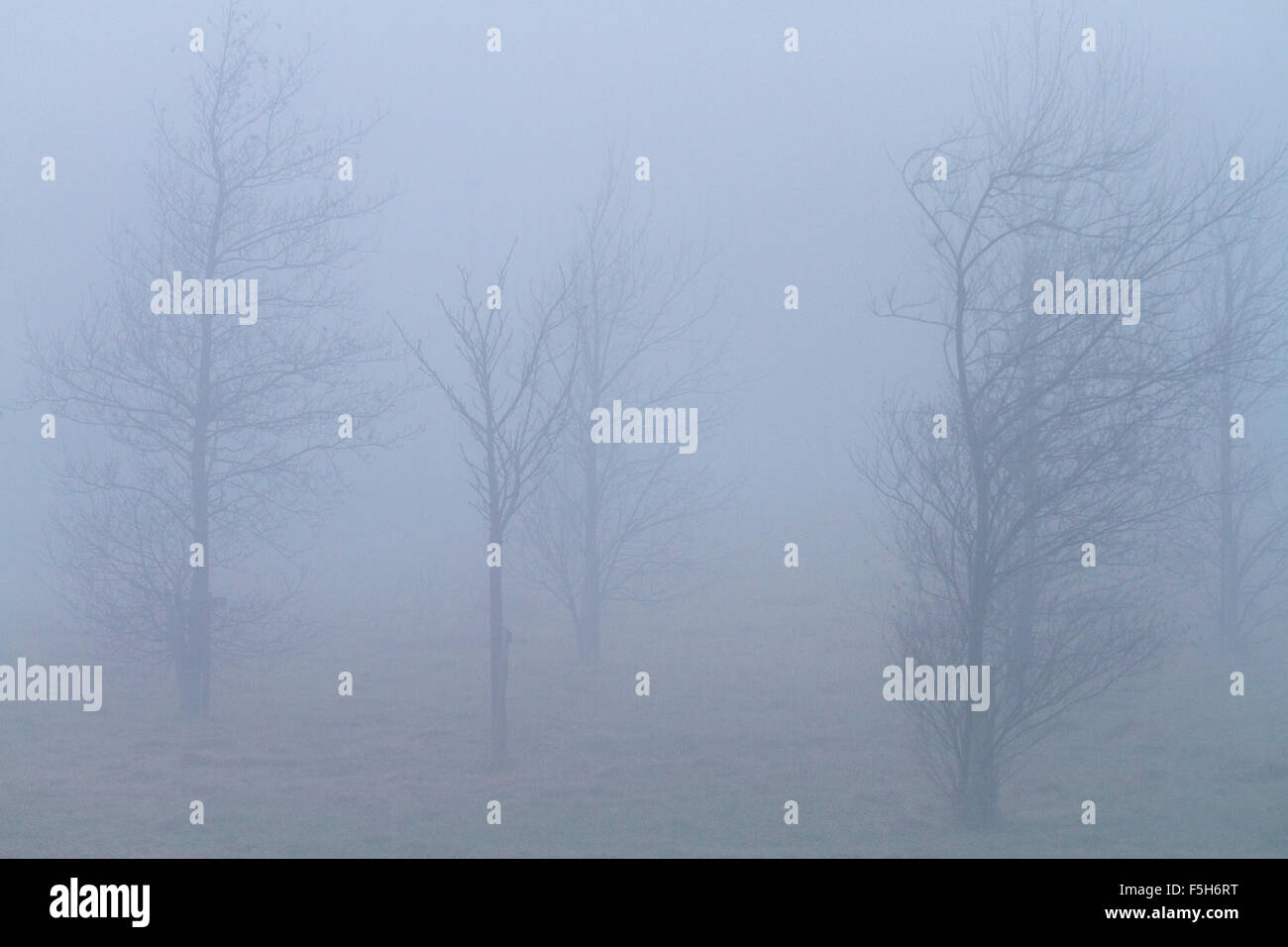 Murky weather hi-res stock photography and images - Alamy