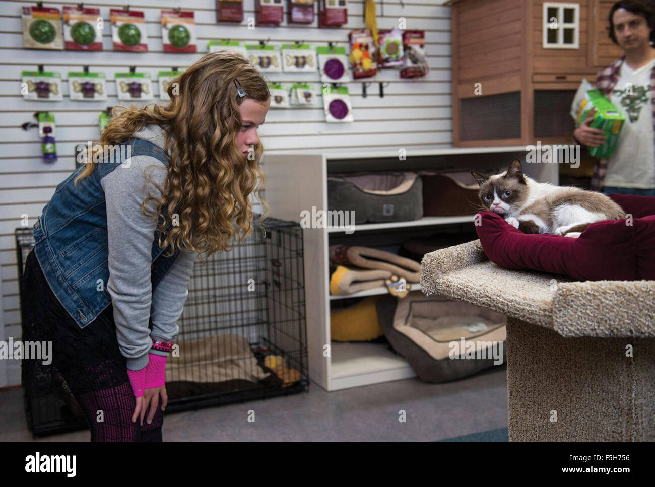 Grumpy cat celebrity hi-res stock photography and images - Alamy