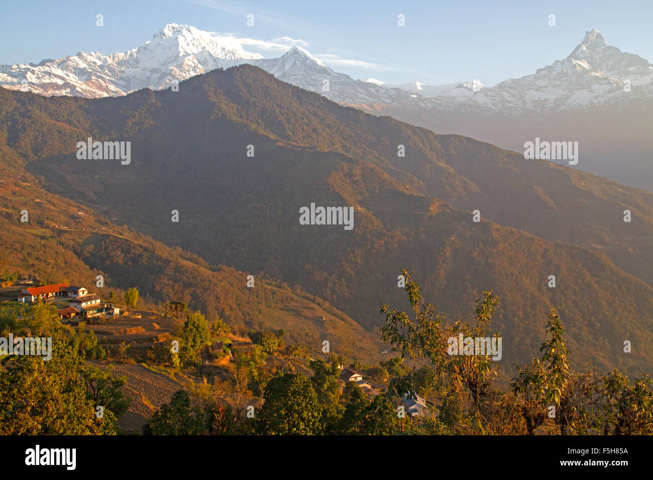 View to the Annapurna massif from the village of Dhampus Stock Photo ...