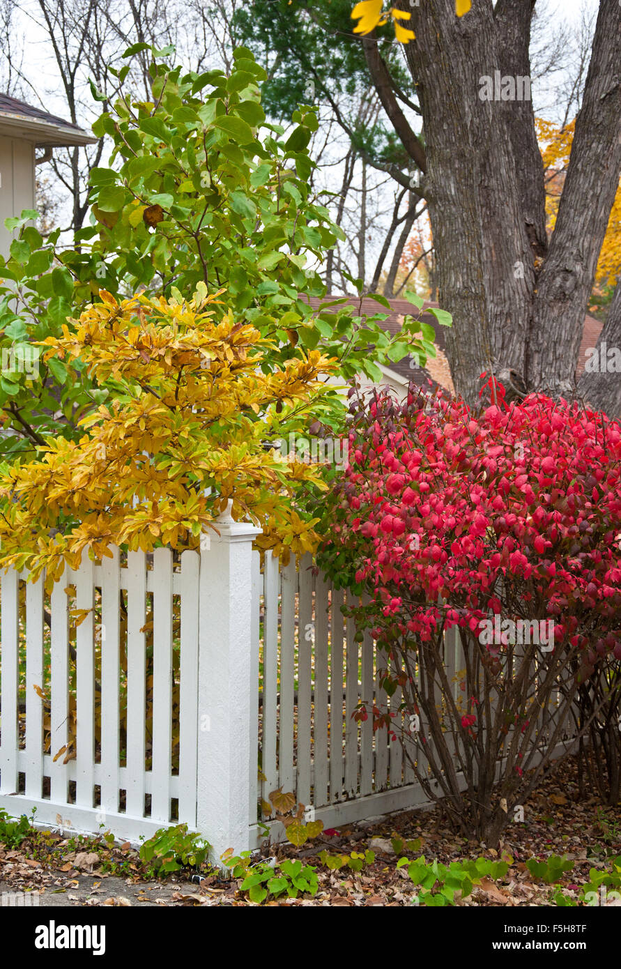Fall combination plants along a white picket fence Stock Photo - Alamy