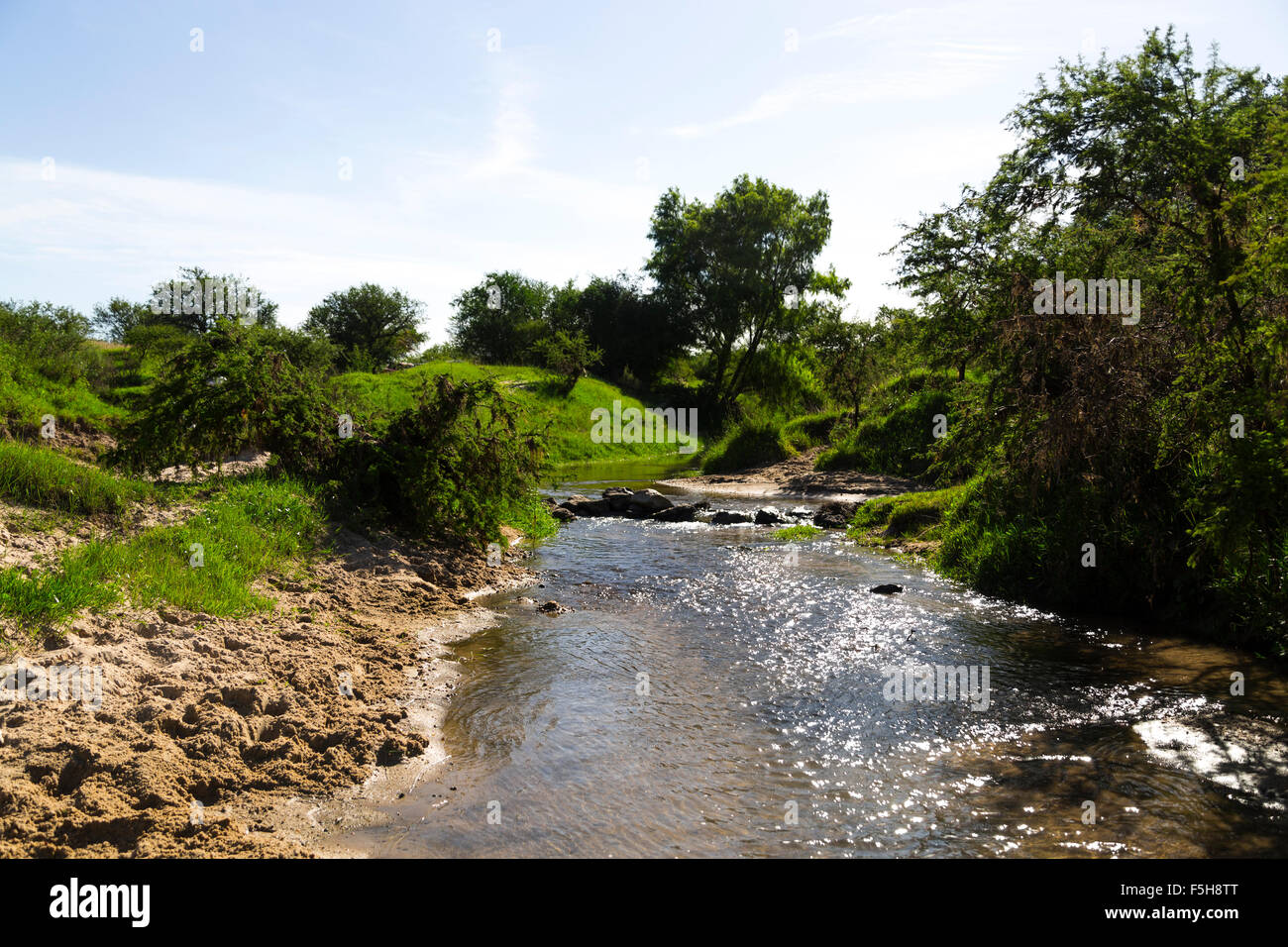 A stream on Entre Rios, Argentina Stock Photo - Alamy