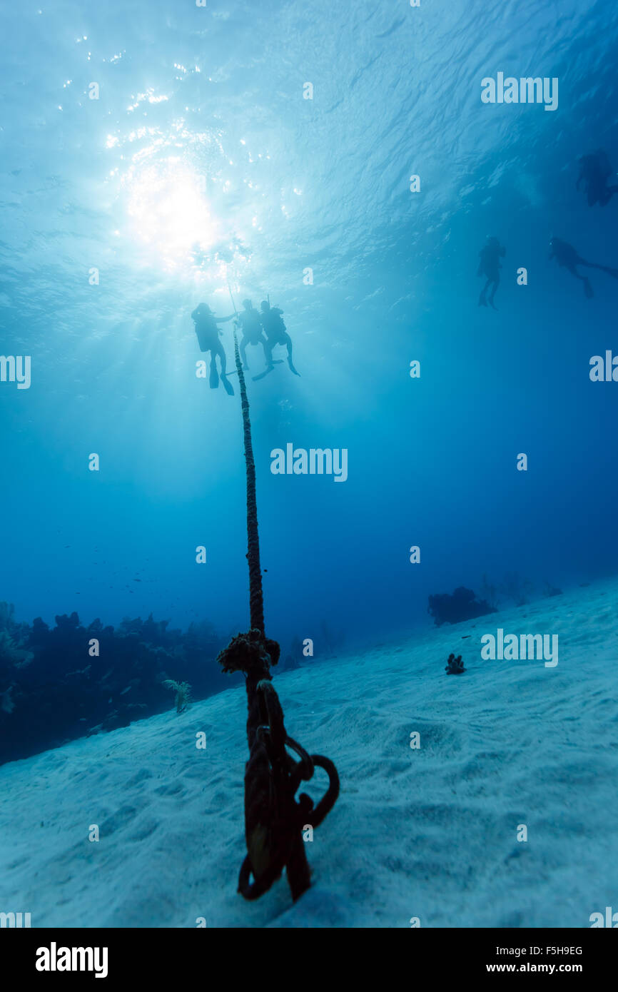 Group scuba divers ascending hi-res stock photography and images - Alamy