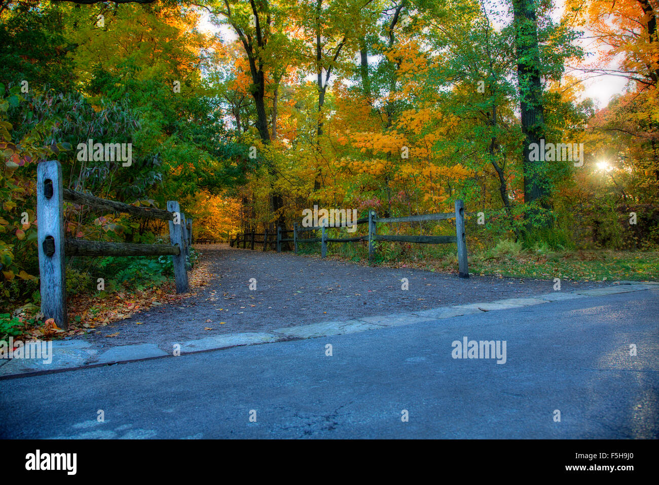 Fall forest hike hi-res stock photography and images - Alamy