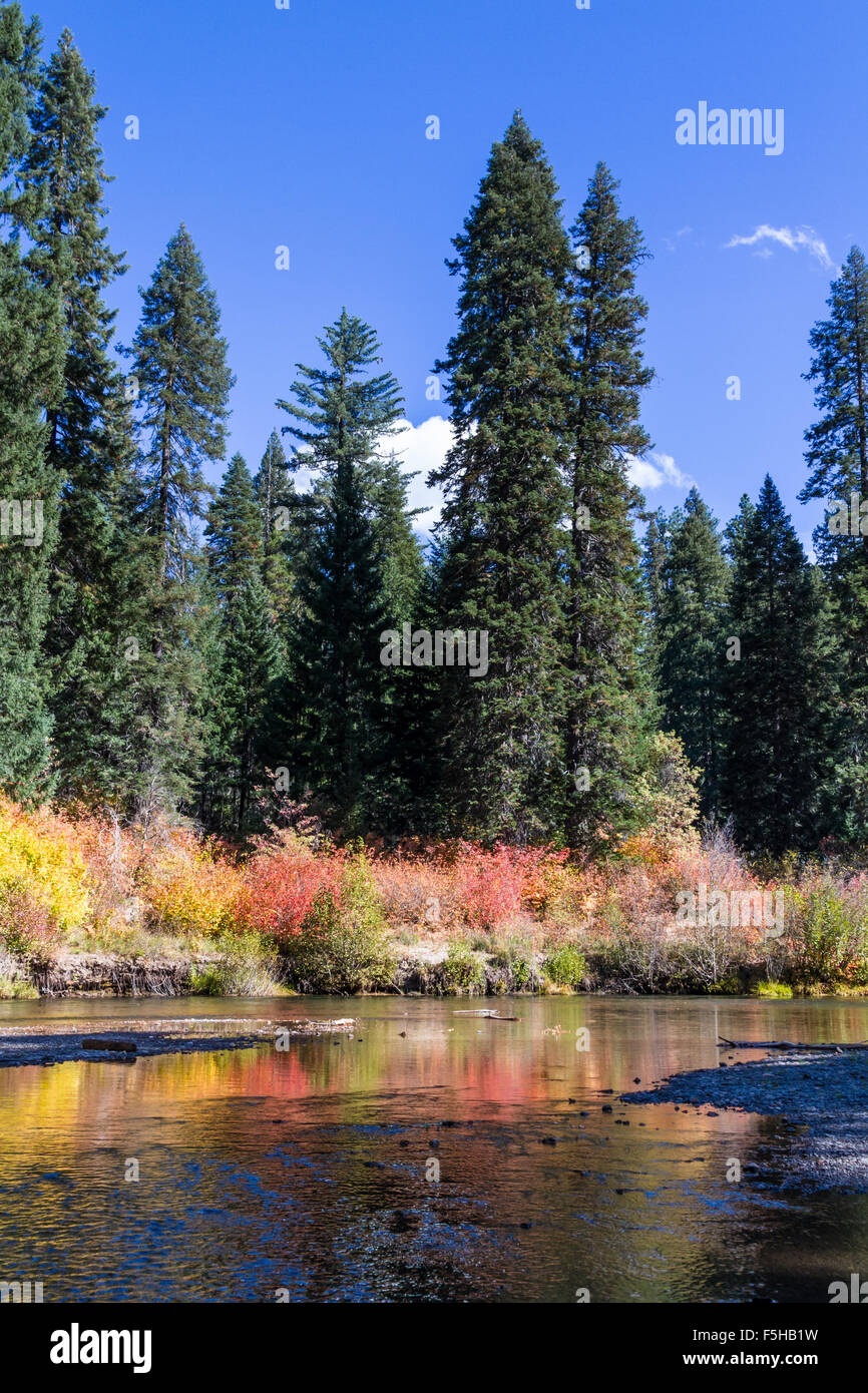 Colorful section of the Rouge river with a reflection of color Stock ...