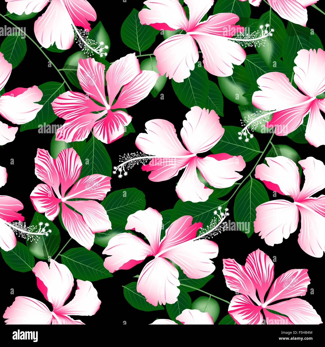 Variegated hibiscus hi-res stock photography and images - Alamy