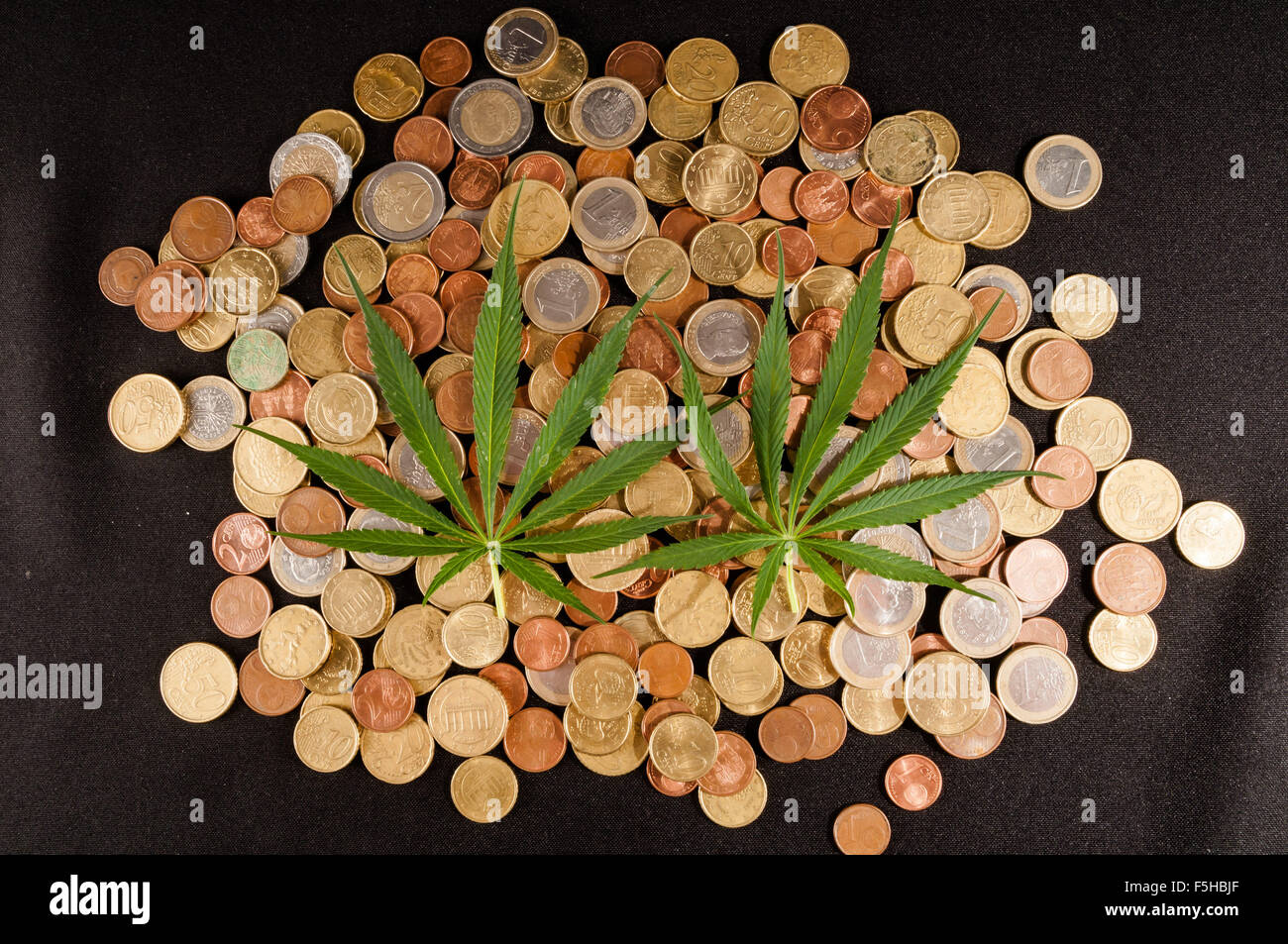 Marijuana and Money Stock Photo - Alamy