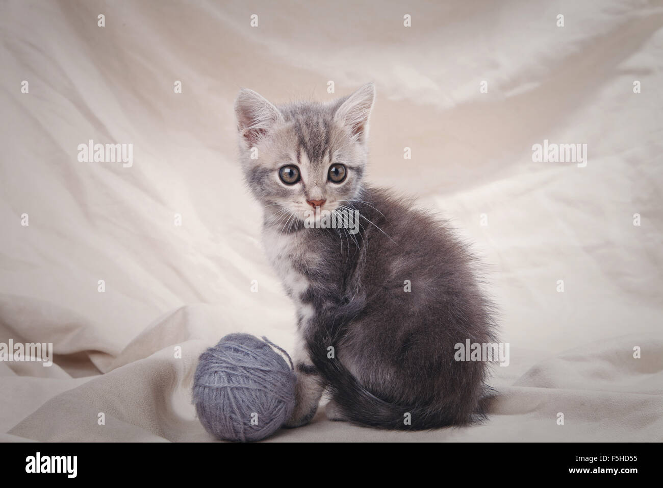 Striped gray hi-res stock photography and images - Alamy