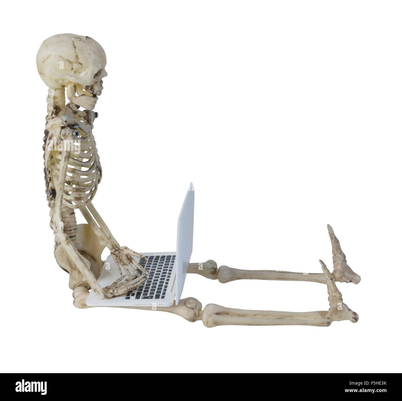 Skeleton using a Laptop computer used for data management, storage and ...