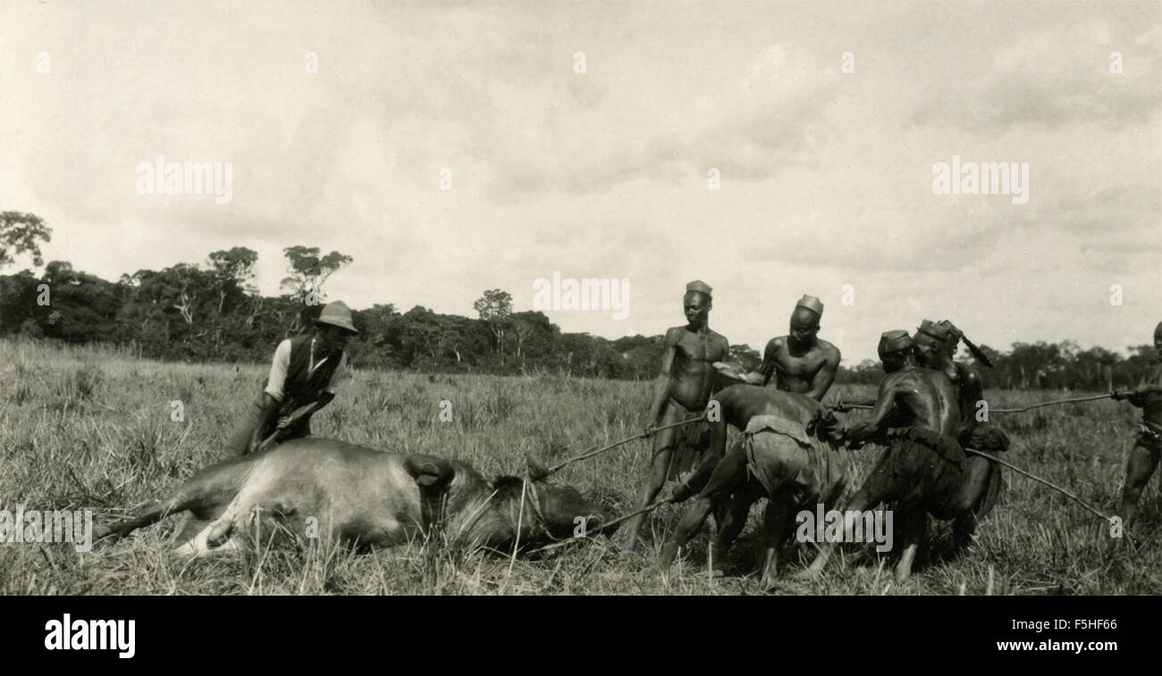 Indigenous tribe to hunt big game hi-res stock photography and images ...