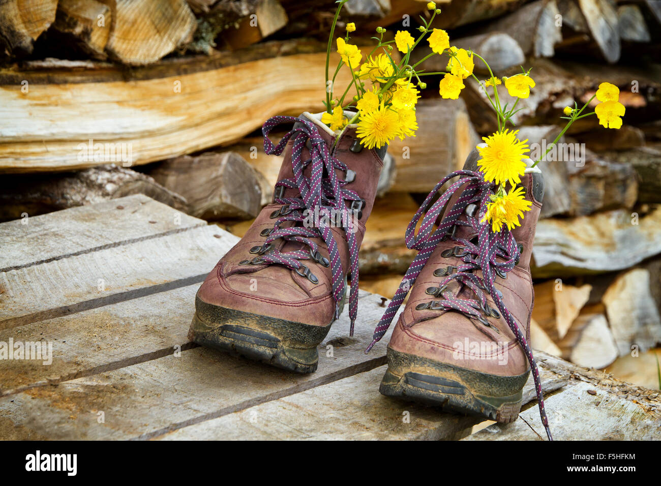 Hiking boots with flowers on a wood pile Stock Photo - Alamy