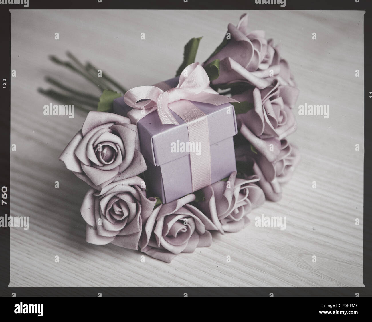 Violet roses hi-res stock photography and images - Alamy