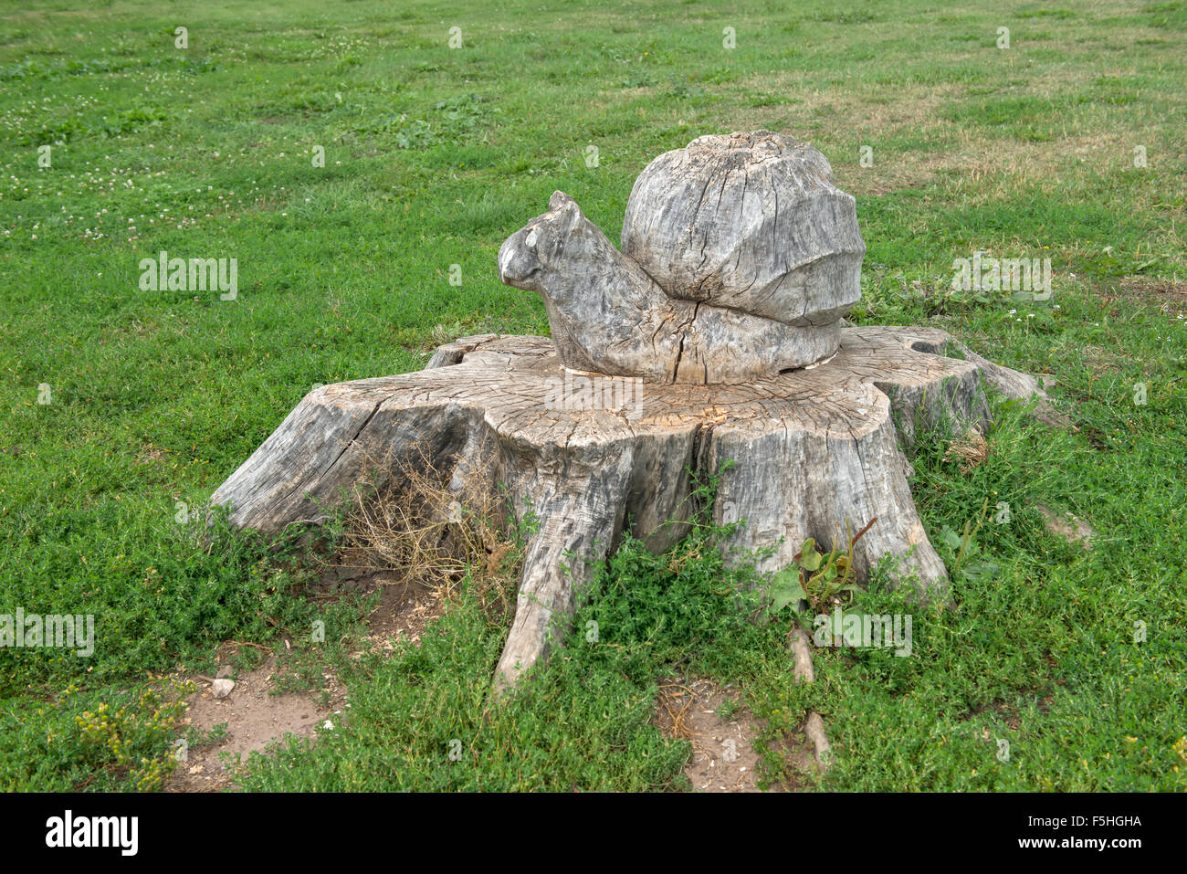 Woodcarving. Turtle with cherepashonkom on the stump of a tree. Velikiy ...