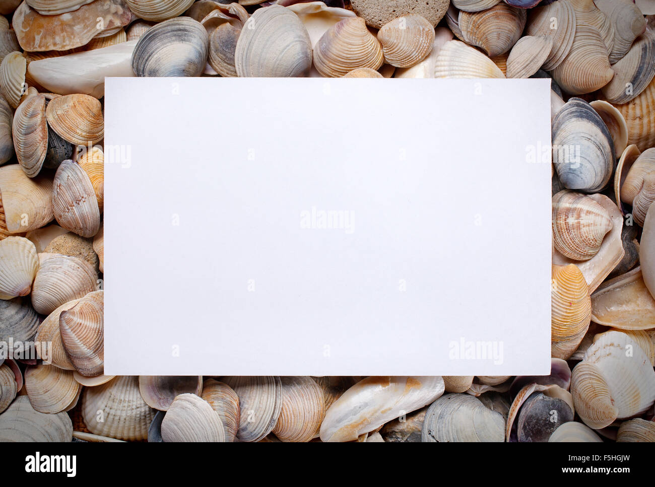 blank sheet of paper on sea Shell background Stock Photo - Alamy