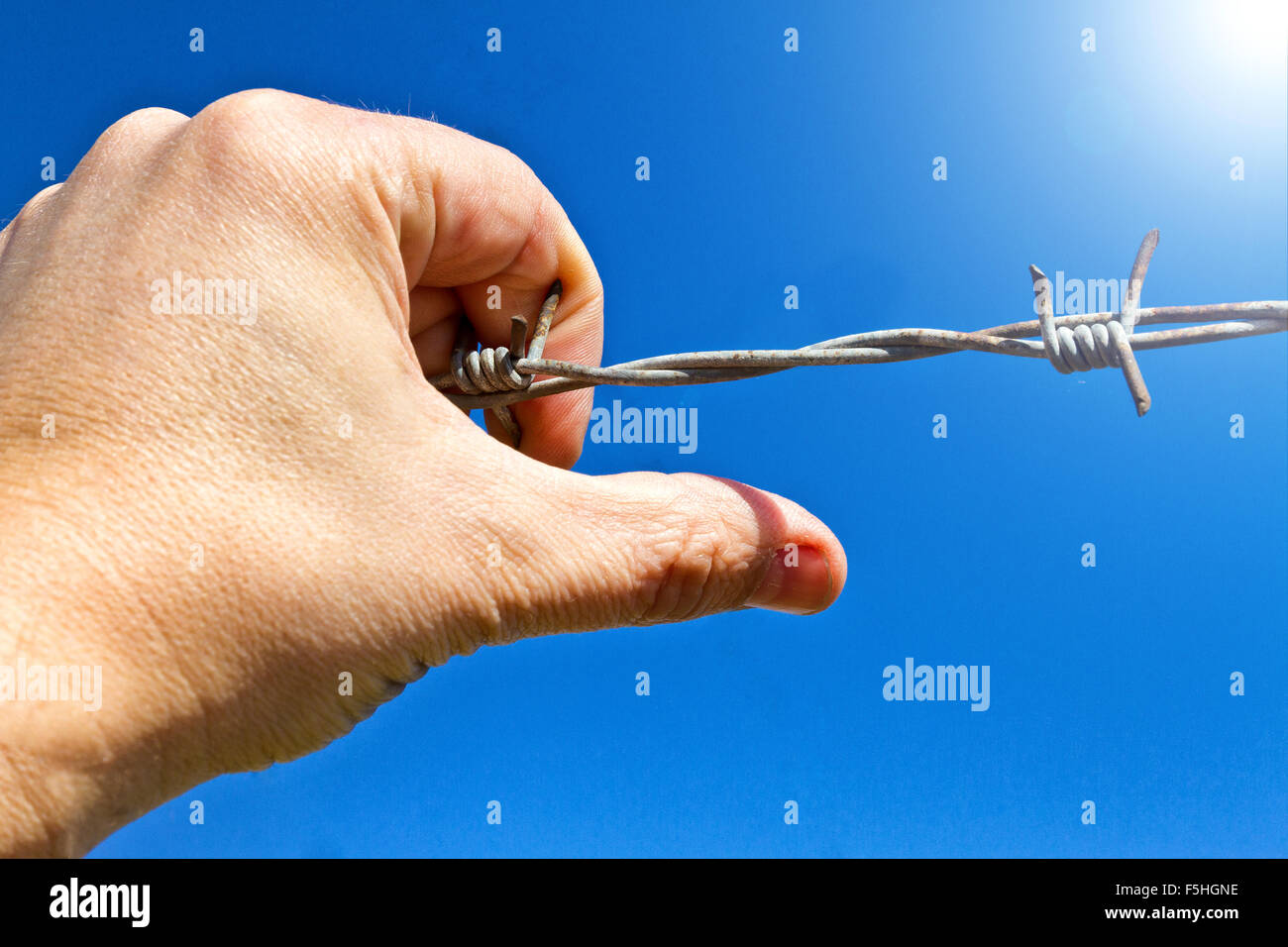 Hand on a barb wire fence Stock Photo - Alamy