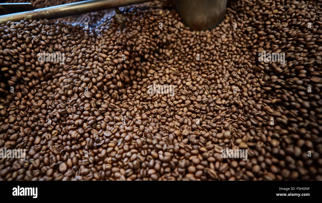 Freshly roasted coffee beans Stock Photo - Alamy