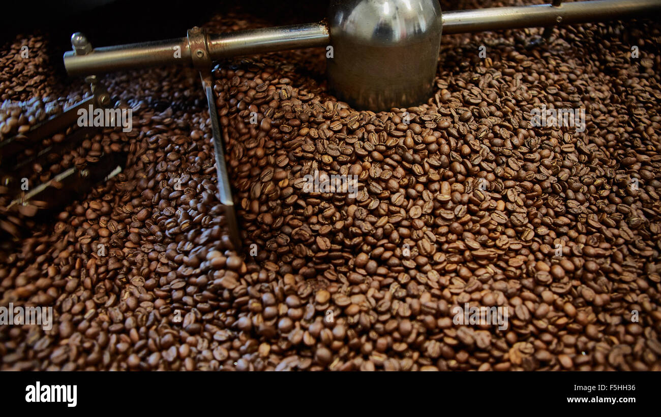 Freshly roasted coffee beans Stock Photo - Alamy