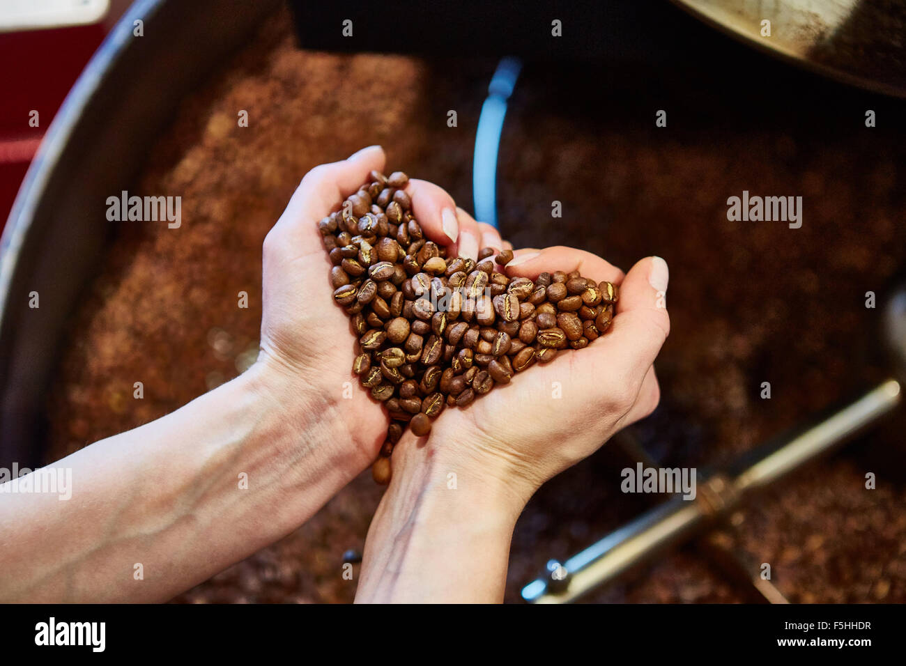 Beans hand blender hi-res stock photography and images - Alamy