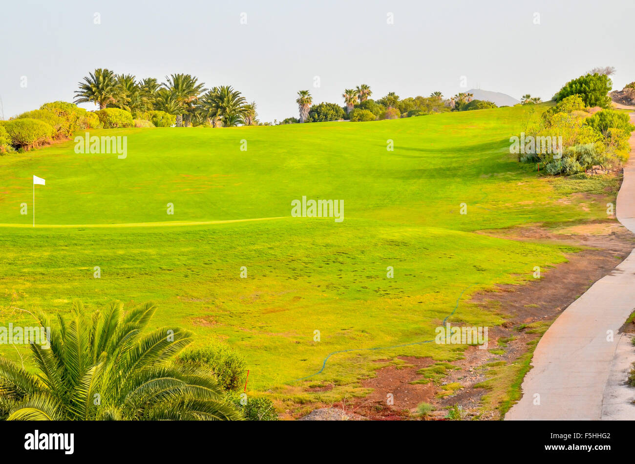 Golf Green Grass Fiel Stock Photo - Alamy