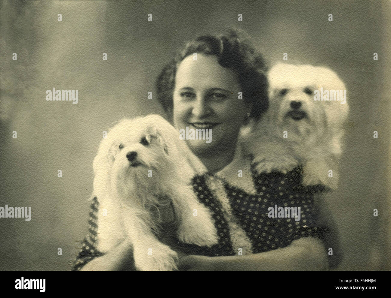 A woman with two small white dogs, Italy Stock Photo - Alamy