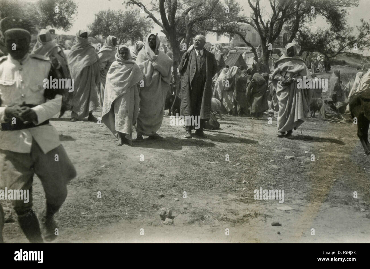 Camel, Garian, Libya Stock Photo - Alamy