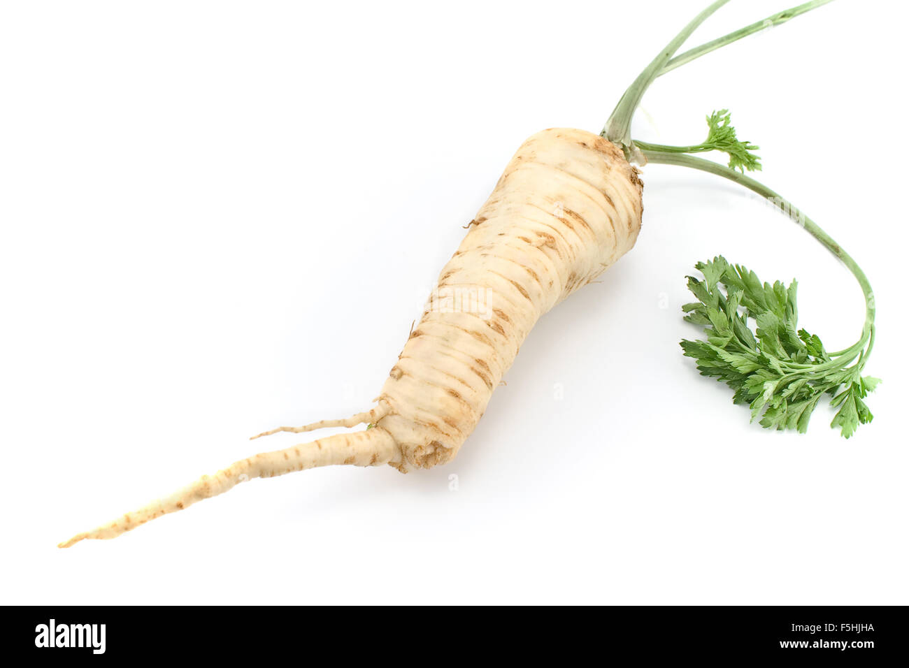 Fresh parsley with root and leaf isolated on white Stock Photo - Alamy