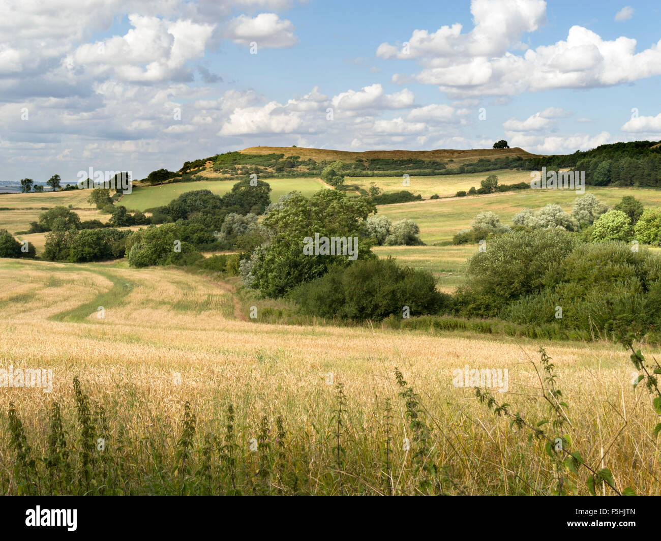 Age Hill Fort High Resolution Stock Photography and Images - Alamy