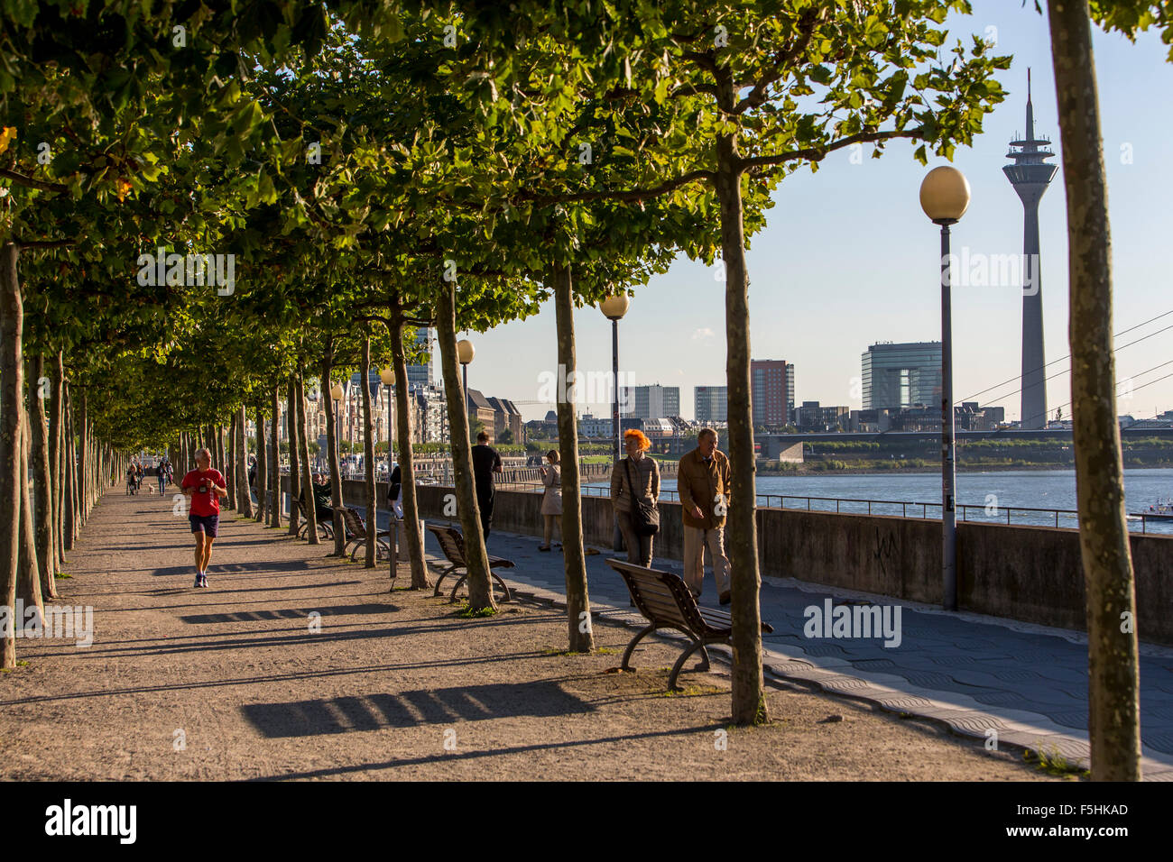 City of Düsseldorf, river Rhine, overview, old town, river promenade ...