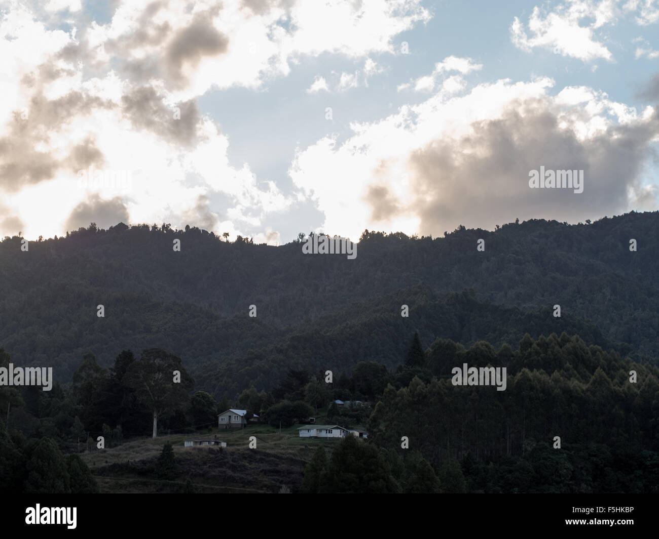 New zealand maori tuhoe hi-res stock photography and images - Alamy