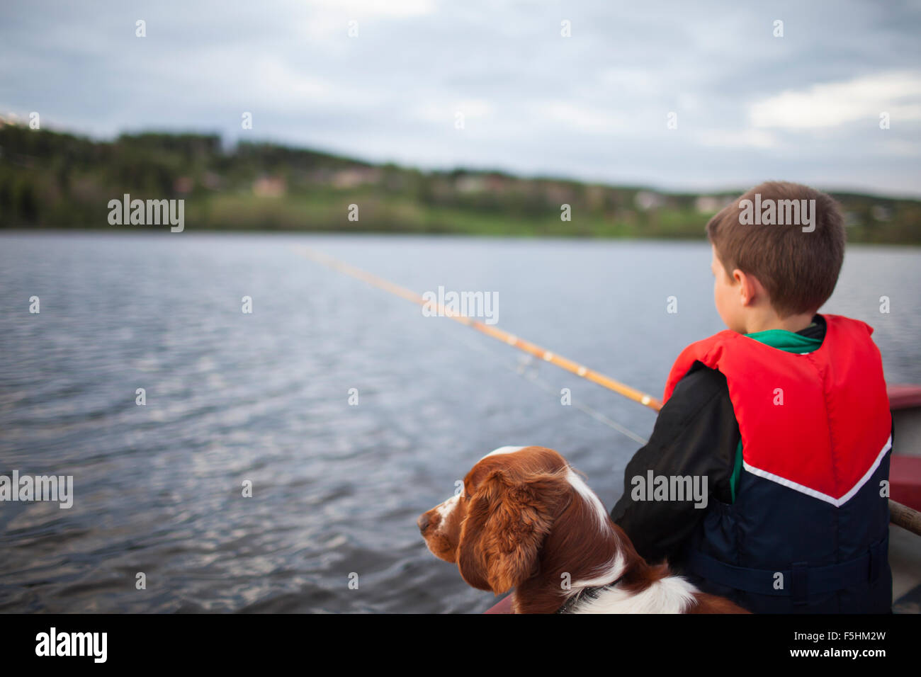 Boy fishing dog hi-res stock photography and images - Alamy