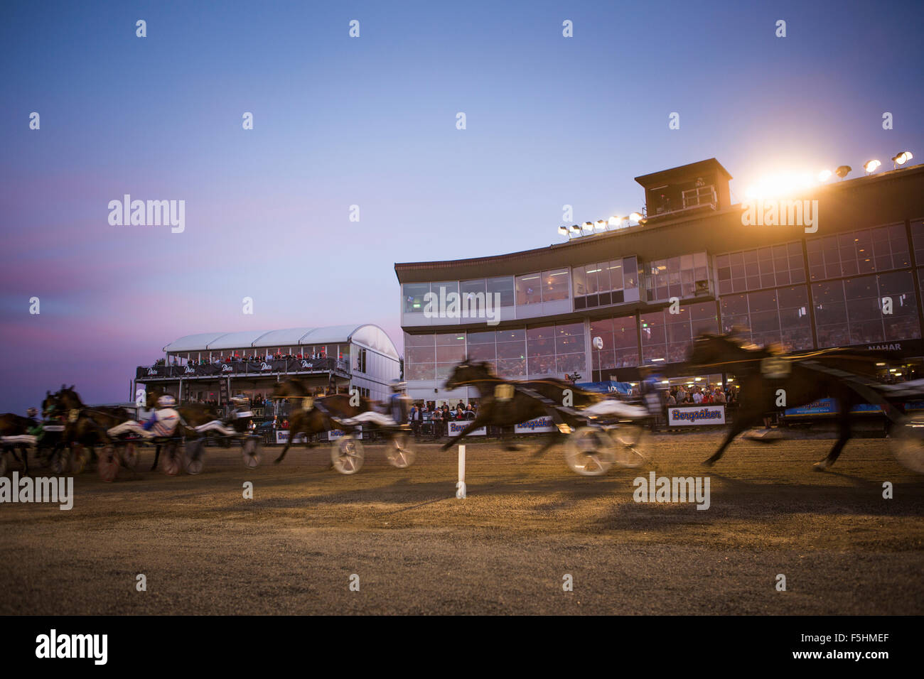 Harness Racing Swedish Horse High Resolution Stock Photography and ...