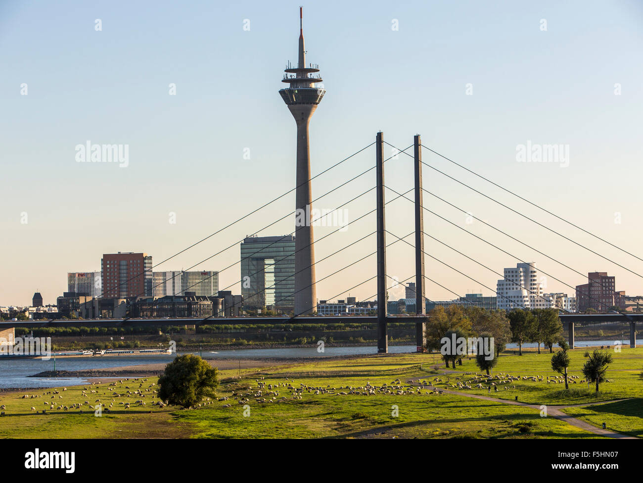 Rhine tower hi-res stock photography and images - Alamy