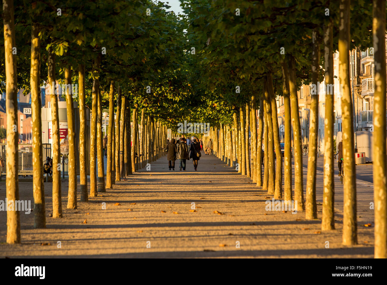 Düsseldorf, river Rhine promenade, Germany Stock Photo - Alamy