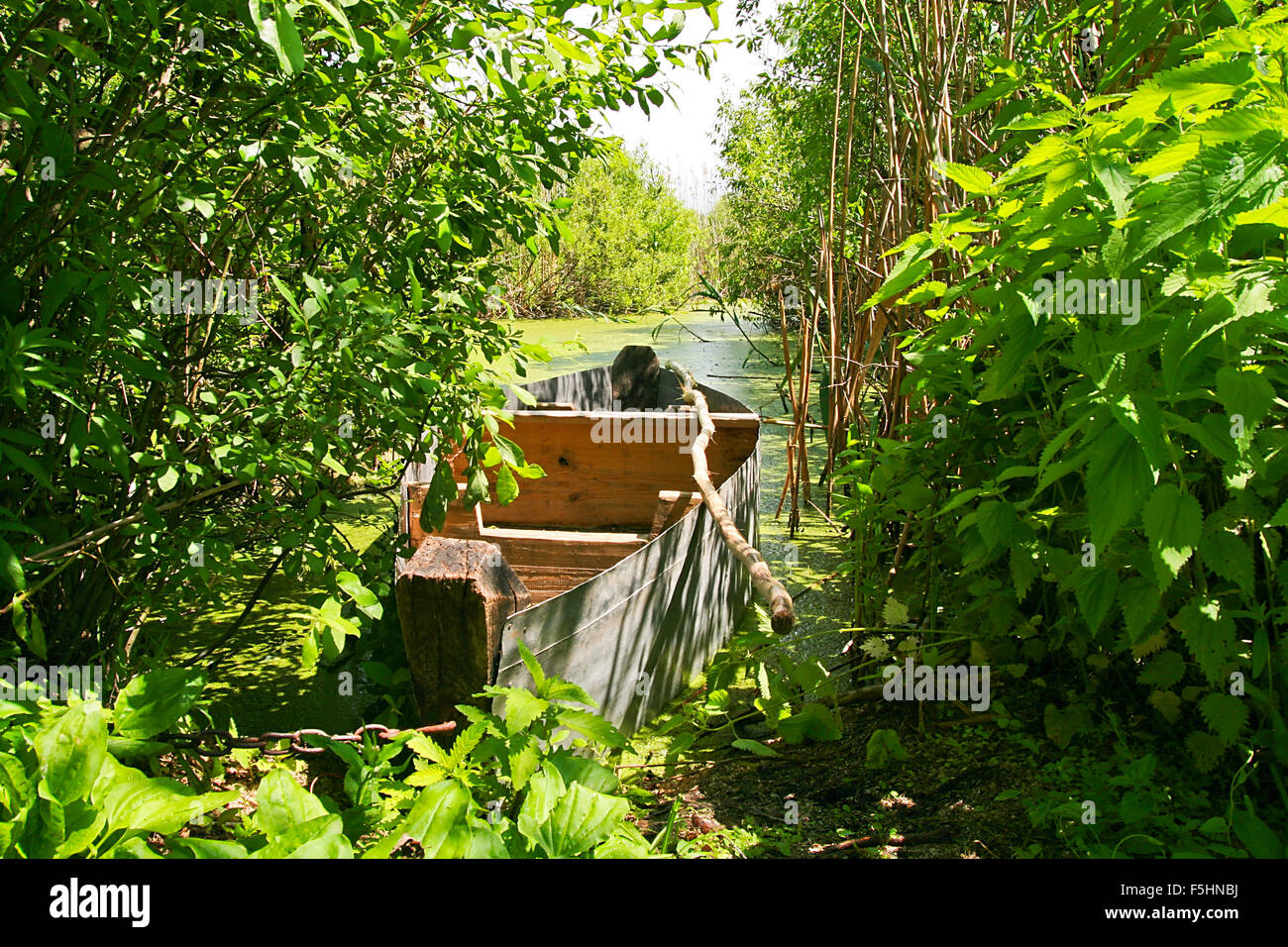 Empty wooden boat at the river bank at summer time. Small river with ...