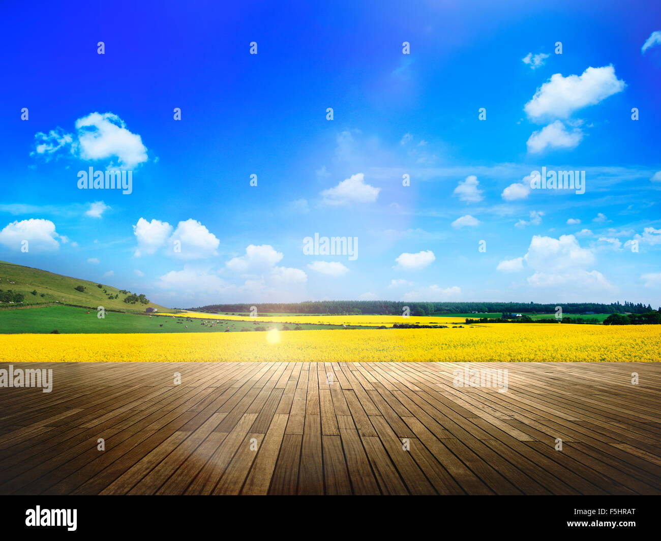 Peaceful environment hi-res stock photography and images - Alamy