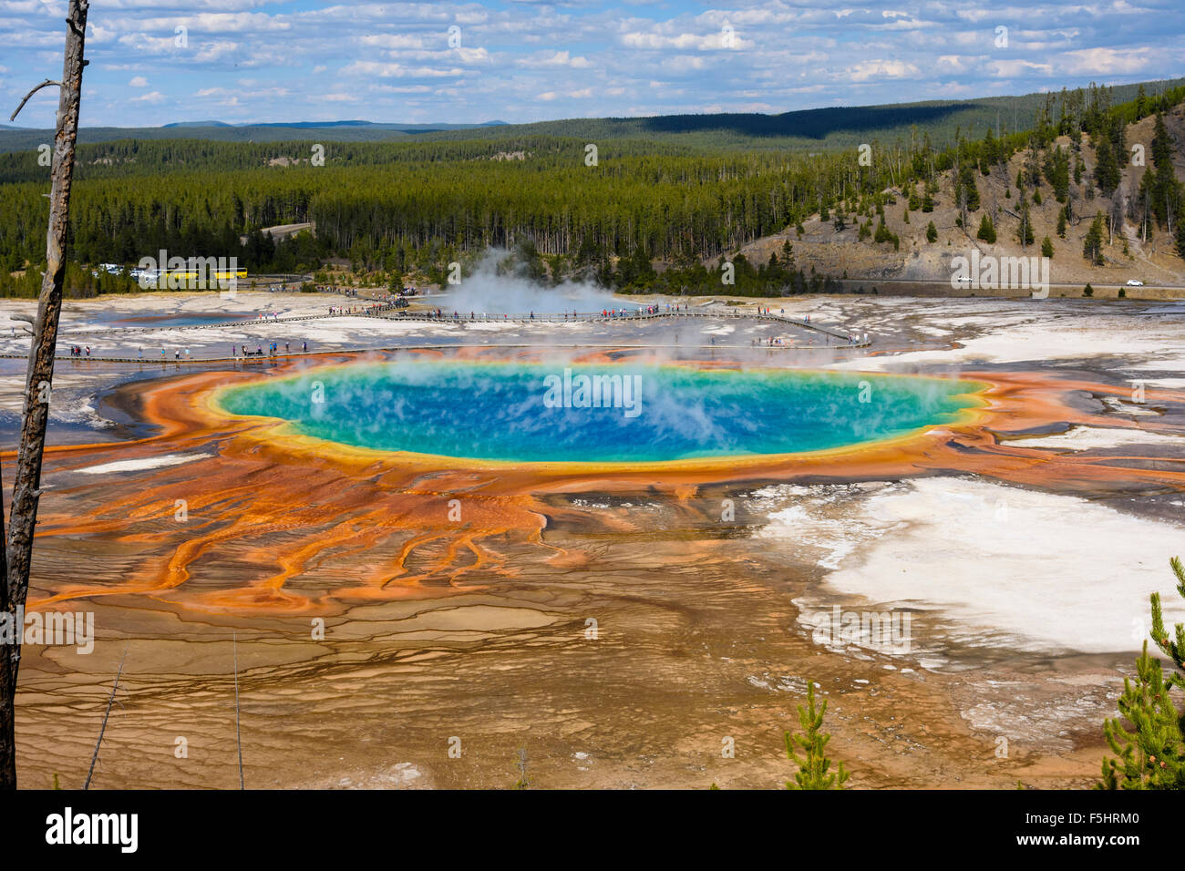 The grand prismatic spring hi-res stock photography and images - Alamy