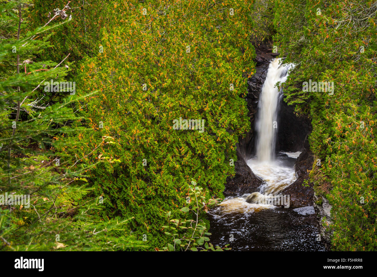 Cascade Falls in the Cascade River State Park, Minnesota, USA Stock ...